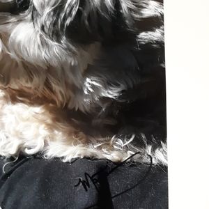 Marti Benner | Accents | Angel Signed Print | Poshmark